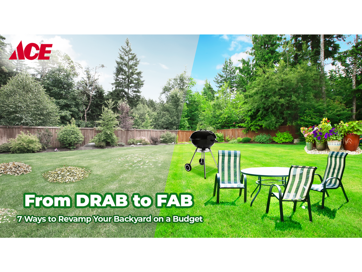 From Drab to Fab: 7 Ways to Revamp Your Backyard on a Budget – AHPI