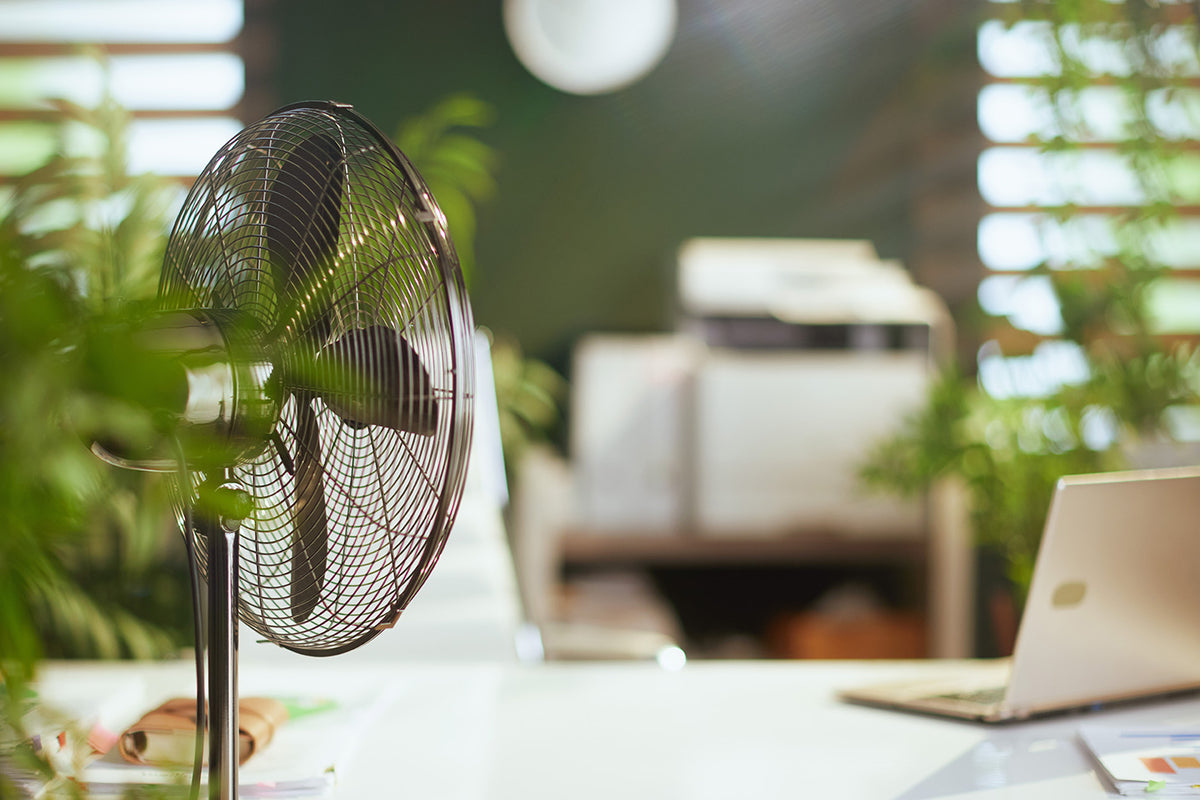 Finding the Perfect Fan for Every Space – AHPI