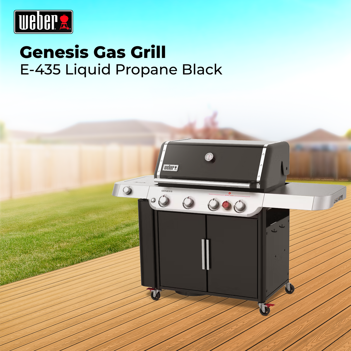 weber Genesis Gas Grill E-435 – AHPI