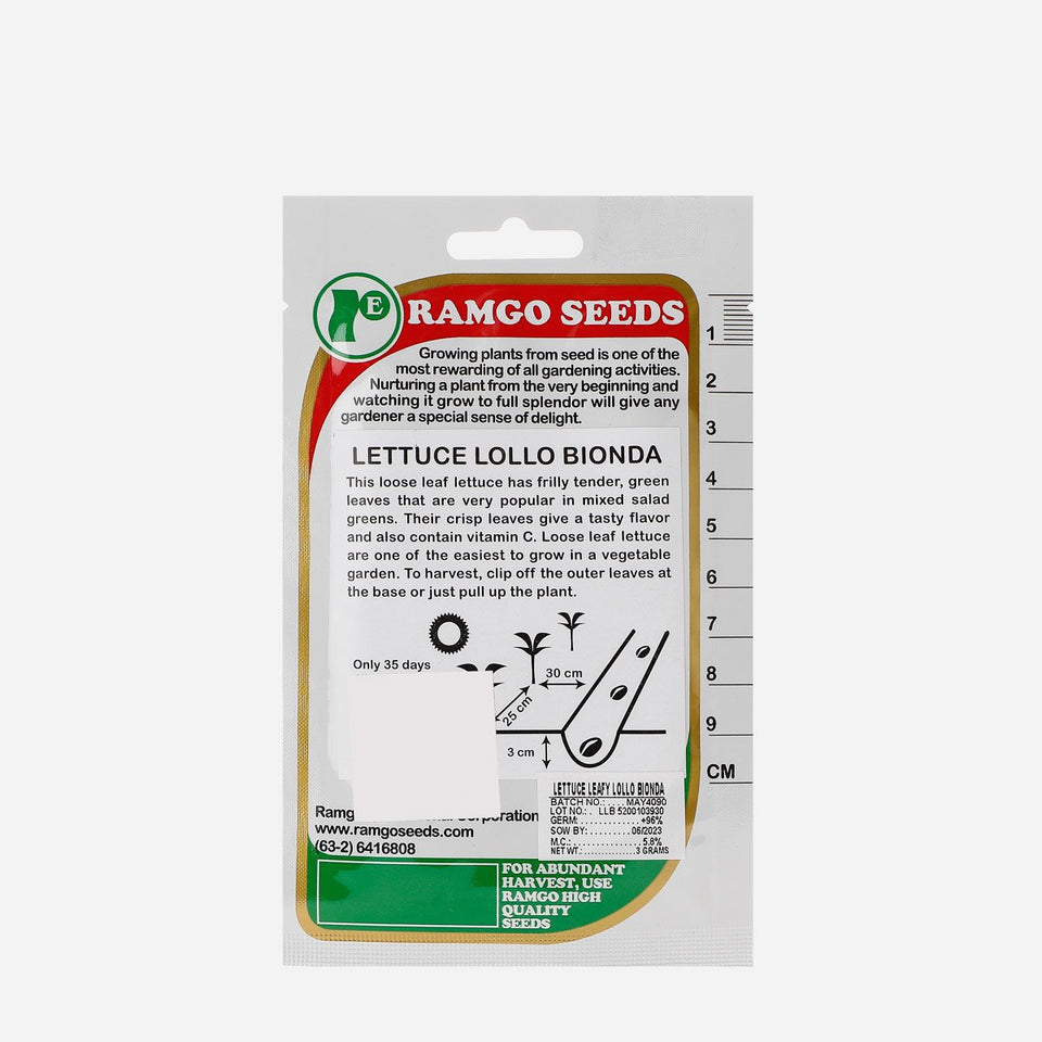 Ramgo Lettuce Leafy Lollo Bionda Seeds – AHPI